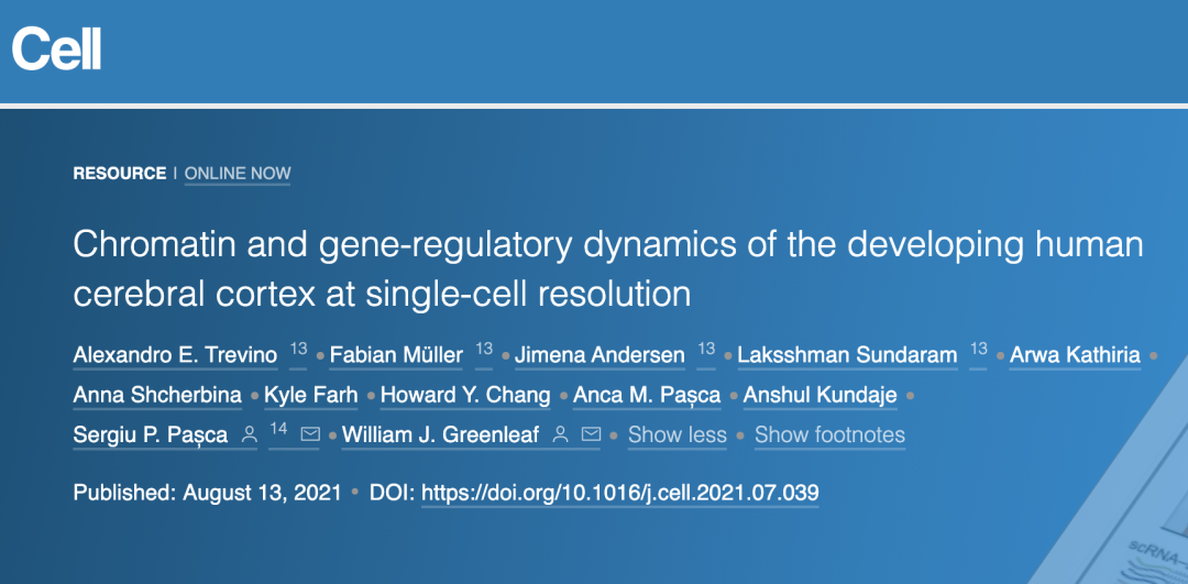 scRNA-seq联合scATAC-seq解析人大脑皮层发育的基因调控医药新闻-ByDrug-一站式医药资源共享中心-医药魔方