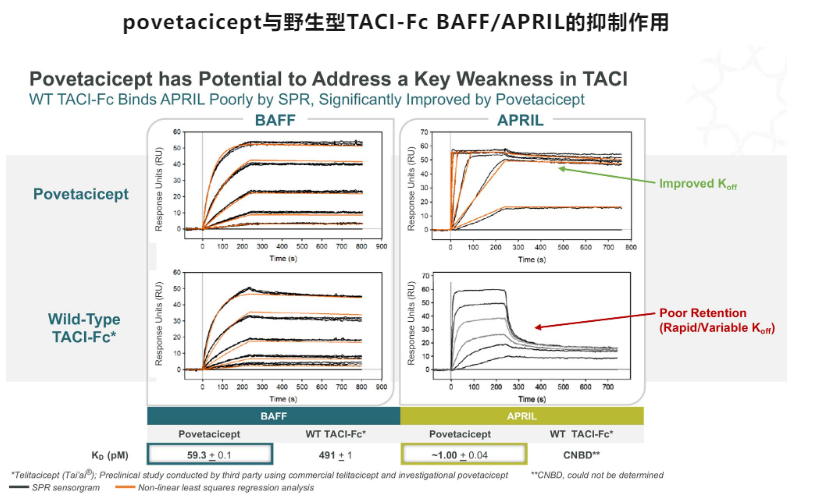 Alpine潜在同类最佳BAFF/APRIL双重拮抗剂在华提交临床试验申请医药新闻-ByDrug-一站式医药资源共享中心-医药魔方
