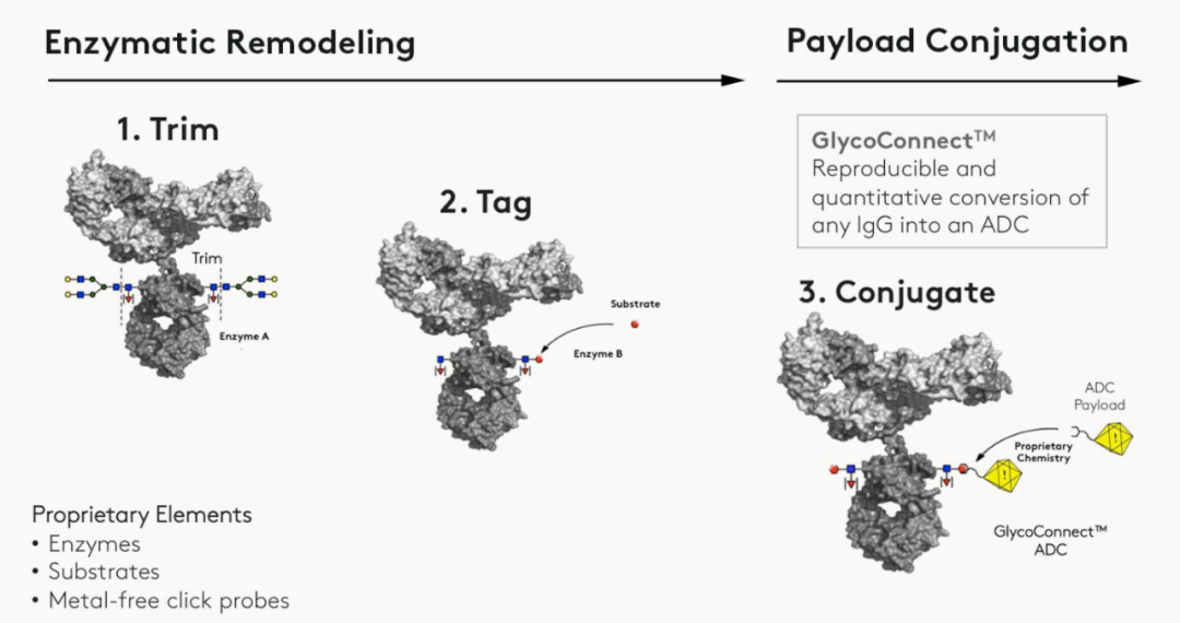 22亿美元！扩大合作，这家ADC公司有何魅力？医药新闻-ByDrug-一站式医药资源共享中心-医药魔方