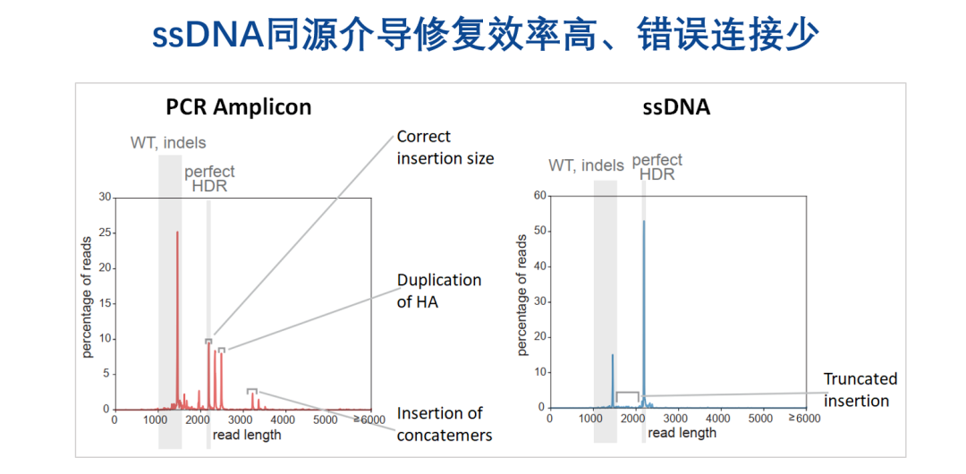 Nature子刊：金斯瑞ssDNA助力敲入效率提升3倍，支持临床细胞治疗应用医药新闻-ByDrug-一站式医药资源共享中心-医药魔方