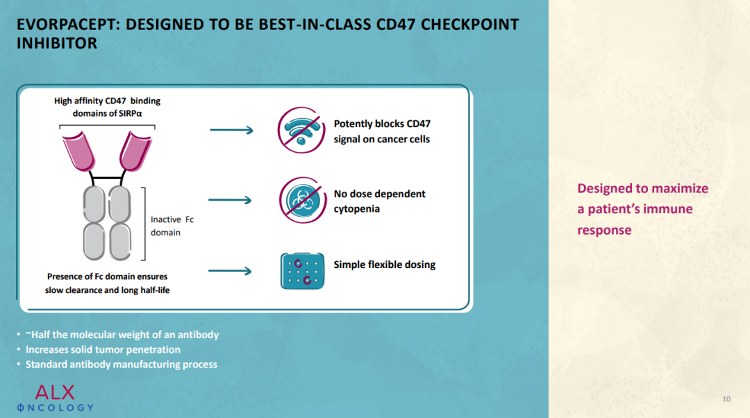 第一三共启动Enhertu新联合疗法治疗实体瘤I期临床医药新闻-ByDrug-一站式医药资源共享中心-医药魔方