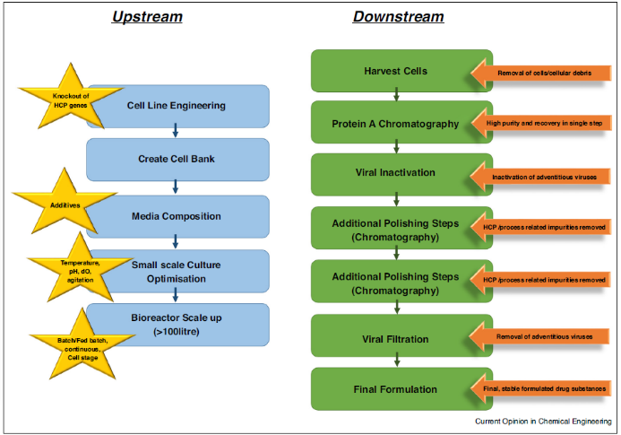 CMC浅谈 | 生物制品的HCP研究医药新闻-ByDrug-一站式医药资源共享中心-医药魔方