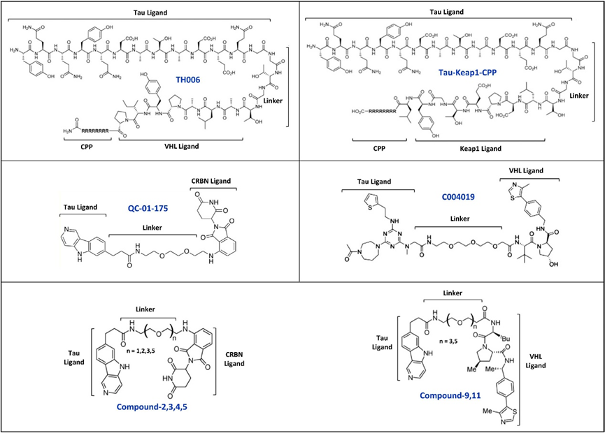 “挑战”神经退行性疾病，这5类蛋白降解技术值得期待……医药新闻-ByDrug-一站式医药资源共享中心-医药魔方