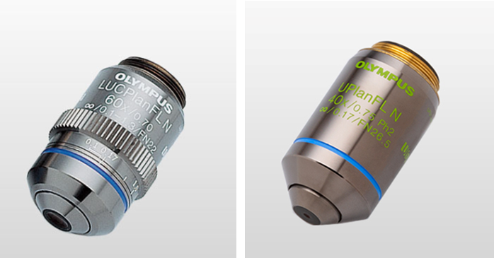 技术 | 使用NanoBiT 技术进行的蛋白质相互作用细胞内定位成像医药新闻-ByDrug-一站式医药资源共享中心-医药魔方