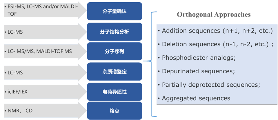 小核酸药物深度研究系列（三）深度解析小核酸药物从CMC至NDA关键环节的核心要点医药新闻-ByDrug-一站式医药资源共享中心-医药魔方