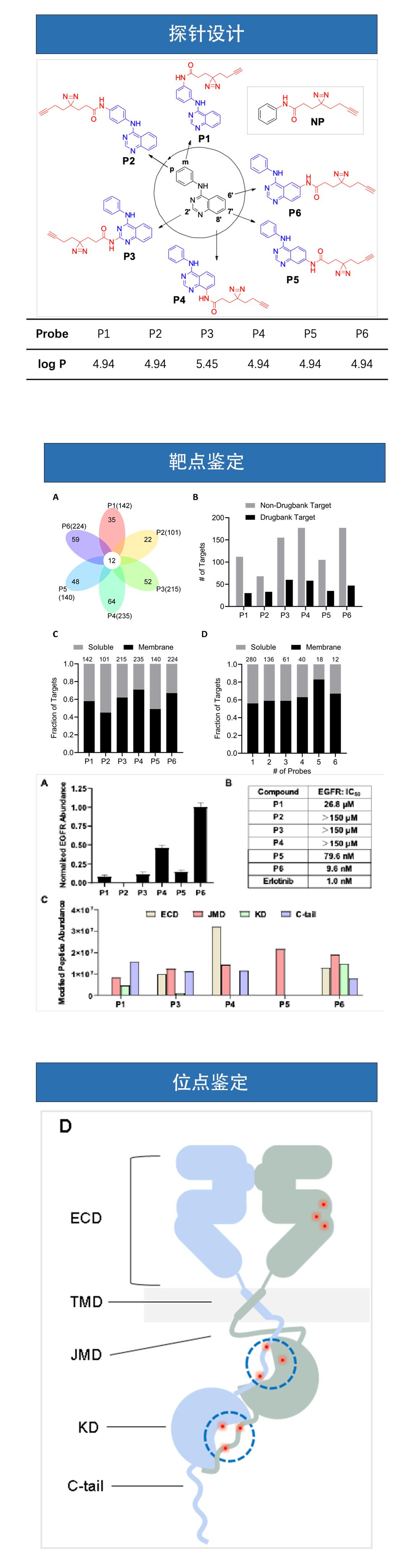 靶点鉴定平台|礼达先导PAL-AfBPP技术医药新闻-ByDrug-一站式医药资源共享中心-医药魔方
