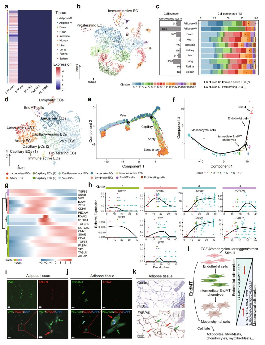 转载：赋能科研︱DNBelab C4单细胞建库+DNBSEQ-T7测序，助力构建首个家猪多器官组织单细胞转录图谱医药新闻-ByDrug-一站式医药资源共享中心-医药魔方