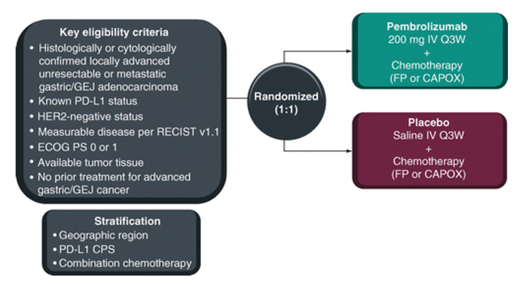 K药+化疗一线治疗晚期胃癌III期临床试验达到OS主要终点医药新闻-ByDrug-一站式医药资源共享中心-医药魔方