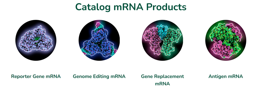 新锐！4100万美元融资，助力mRNA和LNP的CDMO医药新闻-ByDrug-一站式医药资源共享中心-医药魔方