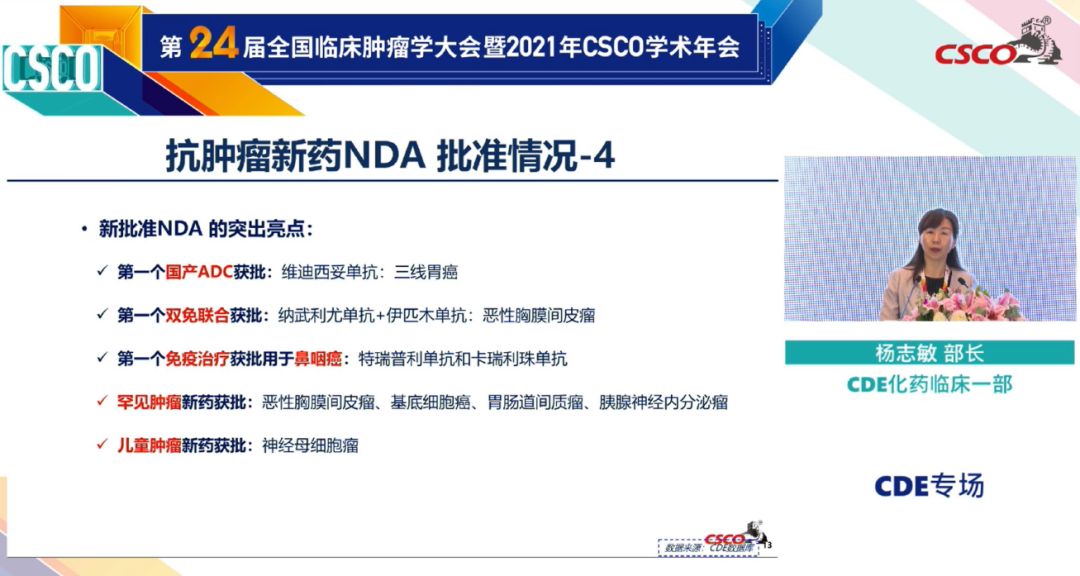 【行业|资讯】抢先看，杨志敏部长领衔，6位CDE专家在CSCO药政专场PPT全披露！医药新闻-ByDrug-一站式医药资源共享中心-医药魔方