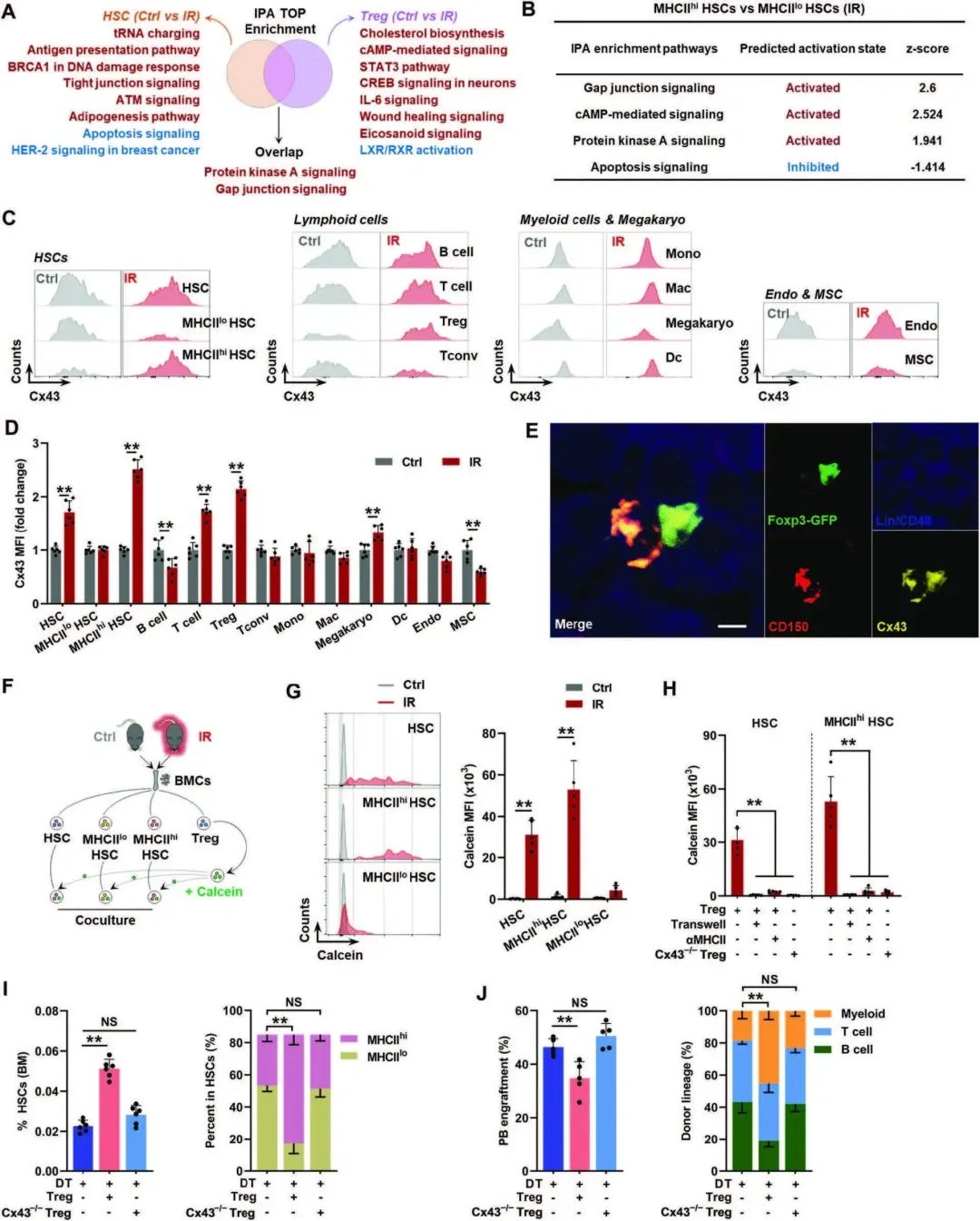 艾沐蒽助力揭示衰老骨髓干细胞机制的新视角！Cellular & Molecular Immunology最新发表医药新闻-ByDrug-一站式医药资源共享中心-医药魔方