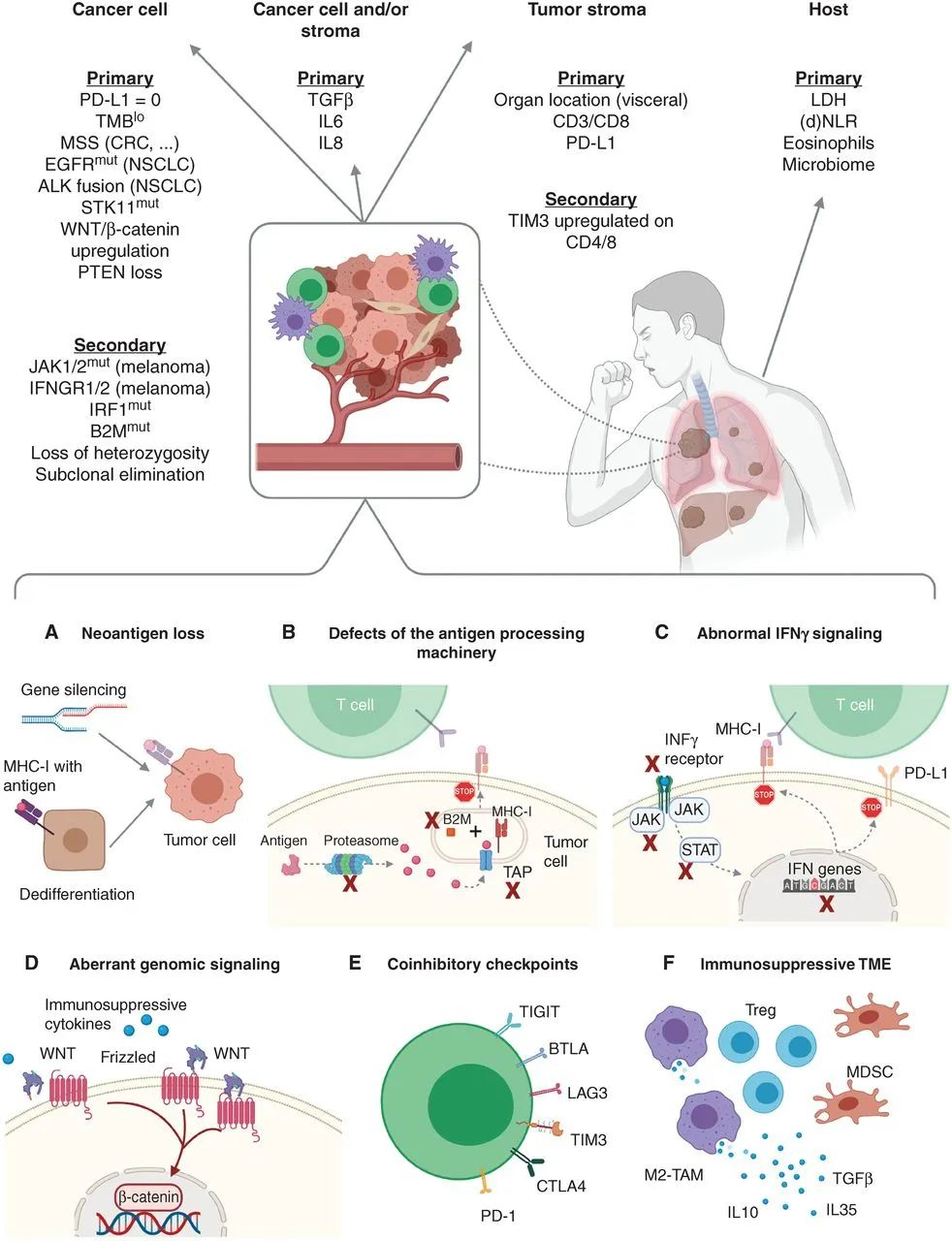Sitravatinib，克服获得性免疫检查点抑制剂耐药的“宝石”？医药新闻-ByDrug-一站式医药资源共享中心-医药魔方