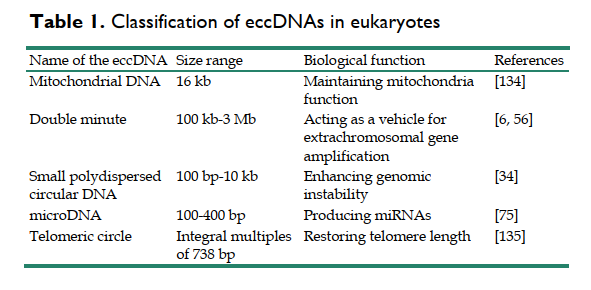 数风流研究，还看染色体外环状DNA医药新闻-ByDrug-一站式医药资源共享中心-医药魔方
