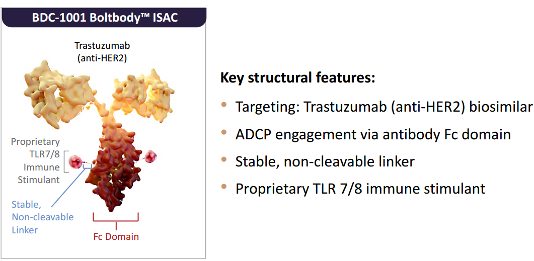 免疫刺激ADC临床失败，Bolt 股价大跌近60%医药新闻-ByDrug-一站式医药资源共享中心-医药魔方