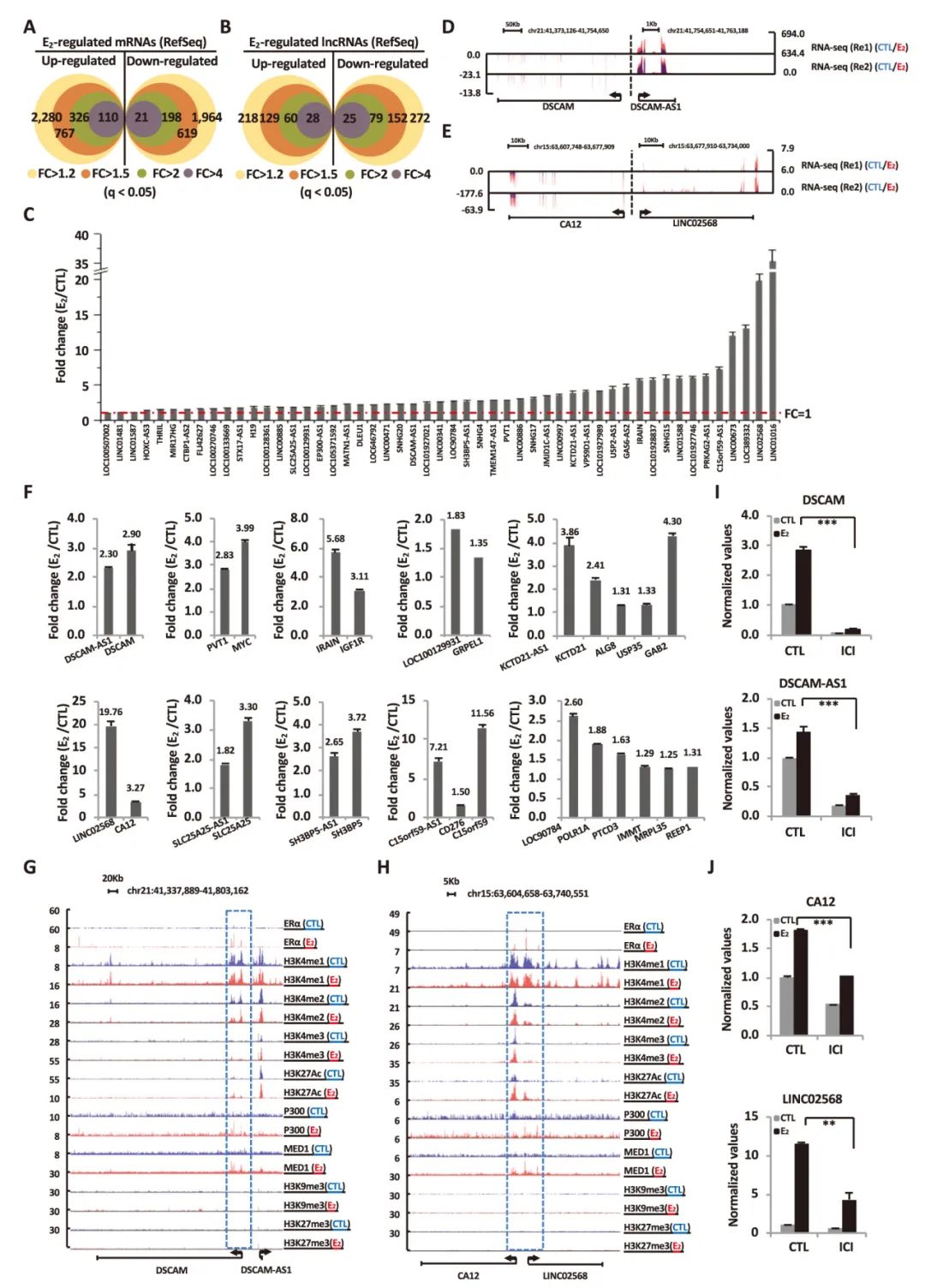 Adv Sci丨雌激素诱导的LINC02568通过反式和顺式机制促进ER+乳腺癌的发展和耐药医药新闻-ByDrug-一站式医药资源共享中心-医药魔方