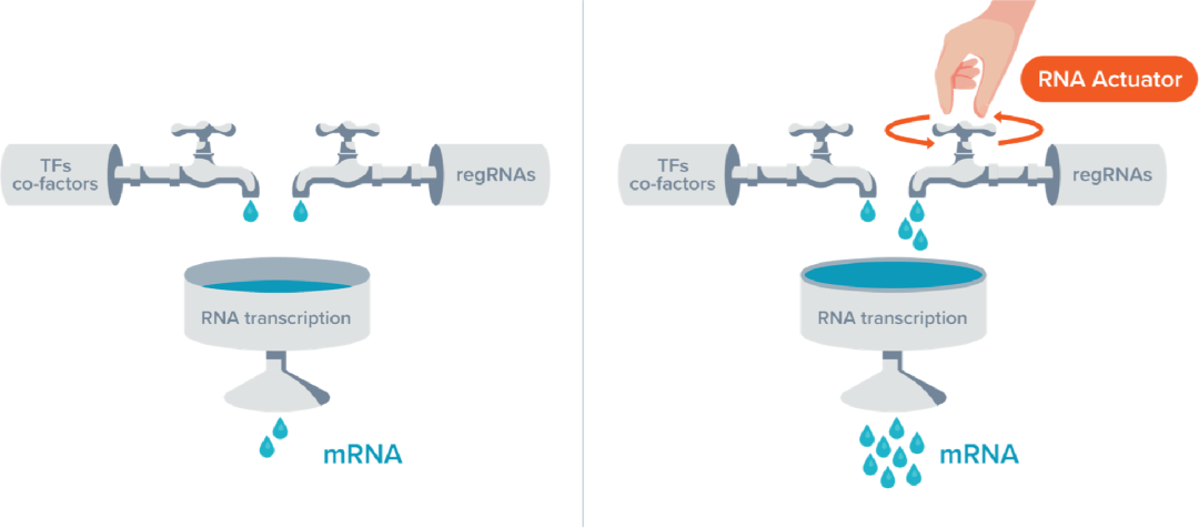 1亿美元B轮融资，推进regRNA平台和管线医药新闻-ByDrug-一站式医药资源共享中心-医药魔方