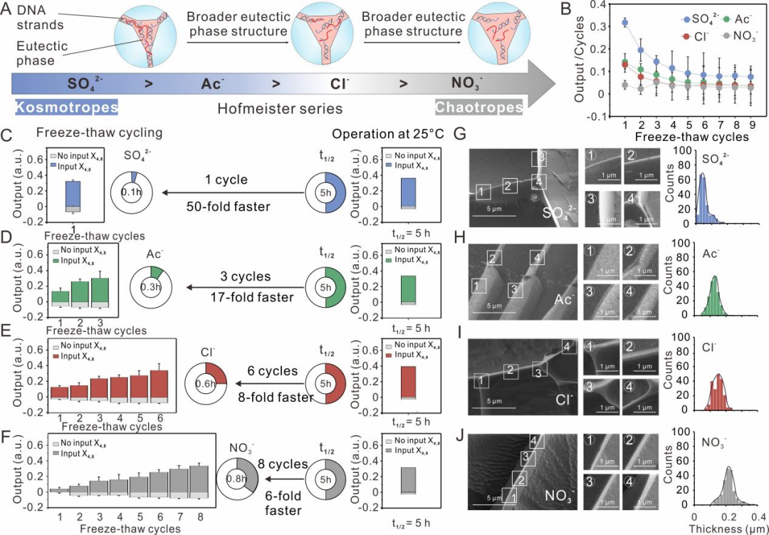 冻融循环解锁DNA分子计算潜力，计算时长可降至数分钟级别医药新闻-ByDrug-一站式医药资源共享中心-医药魔方