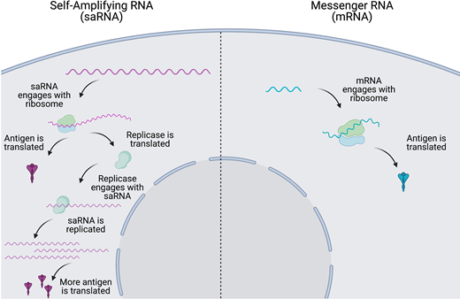 2021年全球RNA疗法领域投融资年报医药新闻-ByDrug-一站式医药资源共享中心-医药魔方