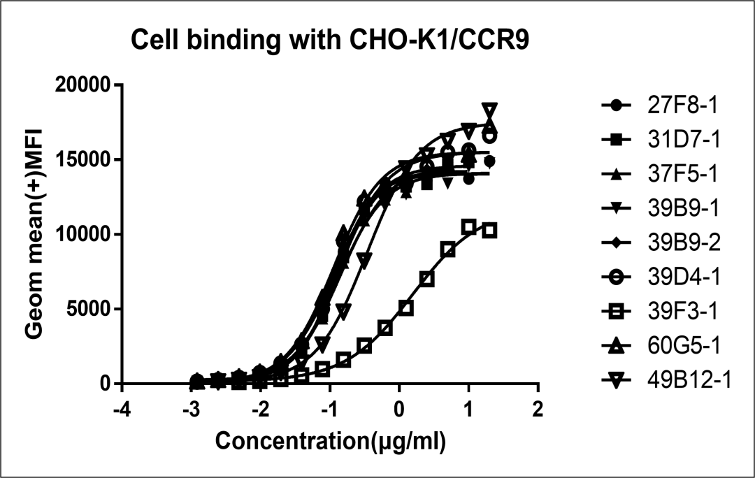 mRNA抗原免疫-靶向多次跨膜蛋白抗体开发新型解决方案医药新闻-ByDrug-一站式医药资源共享中心-医药魔方