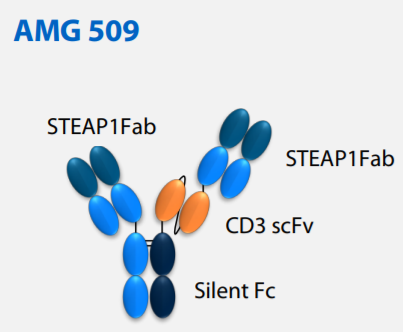 国内首款！安进/百济神州CD3/STEAP1双抗申报临床医药新闻-ByDrug-一站式医药资源共享中心-医药魔方