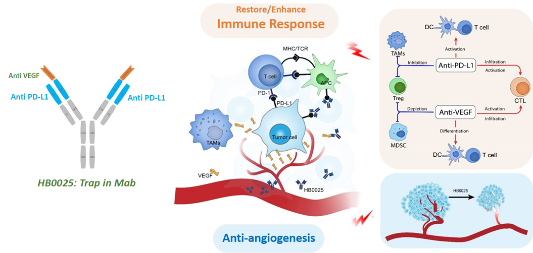 药谷要闻 l 全球首个靶向PD-L1/VEGF的双特异性融合蛋白FDA获批进入临床 ，来自华奥泰生物医药新闻-ByDrug-一站式医药资源共享 ...