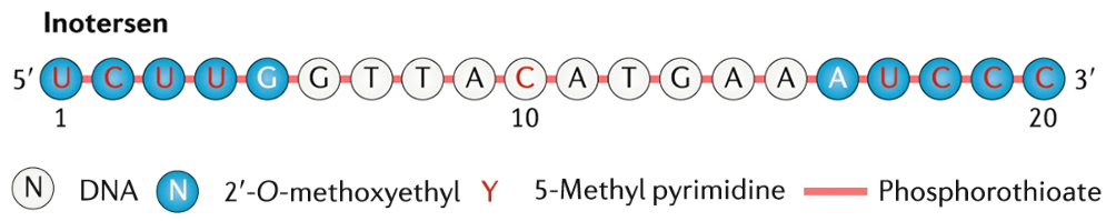 小核酸有大未来--ASO类药物技术分析｜【富海洞察】医药新闻-ByDrug-一站式医药资源共享中心-医药魔方