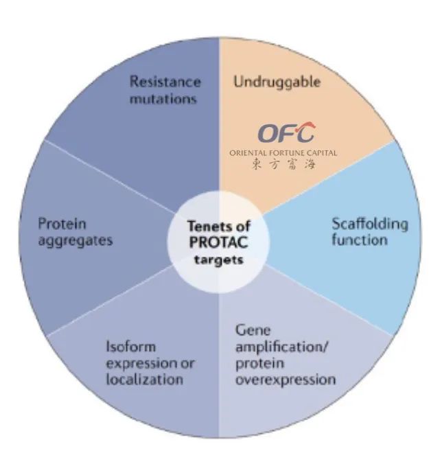 PROTACs：靶向药物开发的新思路｜【富海洞察】医药新闻-ByDrug-一站式医药资源共享中心-医药魔方