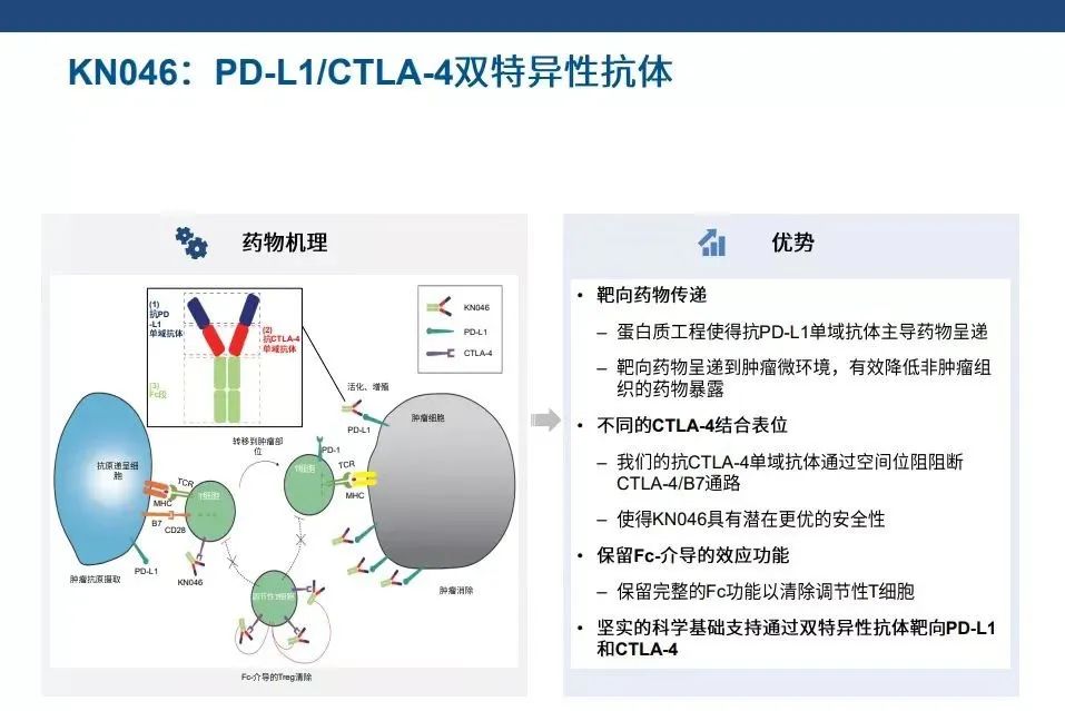 康宁杰瑞公布PD-L1/CTLA-4双抗KN046及KN026的4项最新数据医药新闻-ByDrug-一站式医药资源共享中心-医药魔方