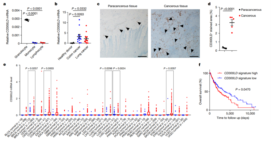 Nature文章：赵允组合作揭示靶向PMN-MDSCs的全新肿瘤免疫治疗靶点医药新闻-ByDrug-一站式医药资源共享中心-医药魔方