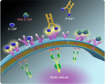 亿一生物向美国FDA提交Ryzneuta™生物制品许可申请（BLA）医药新闻-ByDrug-一站式医药资源共享中心-医药魔方