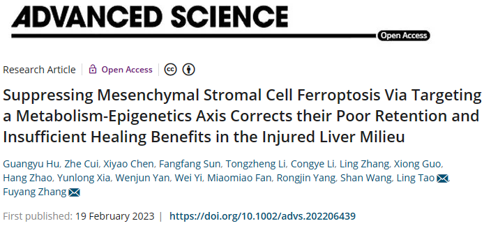 Adv. Sci | 间充质干细胞优化治疗机制新发现医药新闻-ByDrug-一站式医药资源共享中心-医药魔方