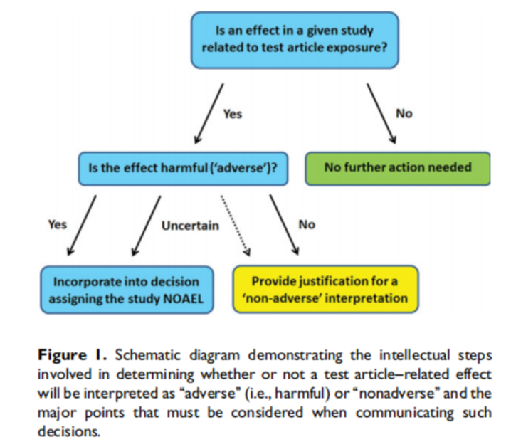 非临床毒理研究中关于NOAEL、HNSTD和STD10的解释及应用医药新闻-ByDrug-一站式医药资源共享中心-医药魔方