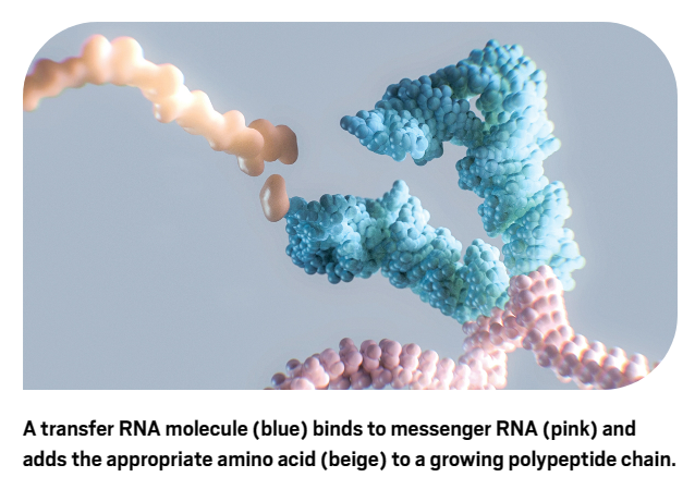 Flagship孵化！tRNA疗法公司完成1.09亿美元B轮融资医药新闻-ByDrug-一站式医药资源共享中心-医药魔方