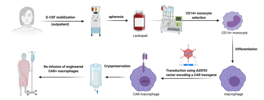 CAR- M一期临床结果显示积极安全性及部分缓解医药新闻-ByDrug-一站式医药资源共享中心-医药魔方
