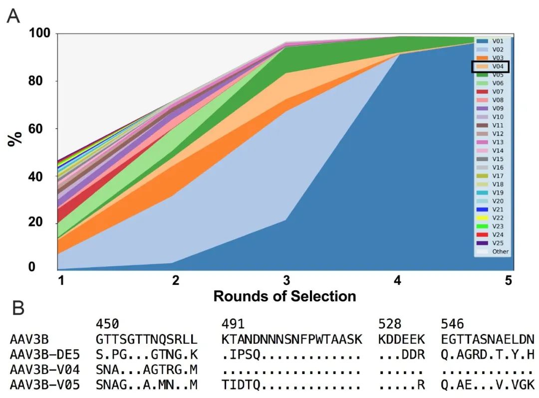 科研成果 | 一种增强肝细胞靶向性和免疫逃逸的AAV3B变体的定向进化与筛选医药新闻-ByDrug-一站式医药资源共享中心-医药魔方