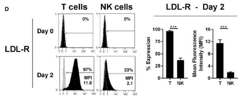 一种新型慢病毒载体------狒狒逆转录病毒包膜糖蛋白假型慢病毒（BaEV-LVs）医药新闻-ByDrug-一站式医药资源共享中心-医药魔方