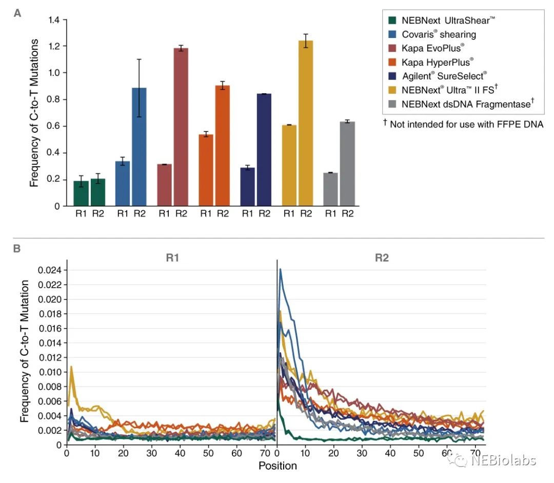 解决甲基化 DNA 和 FFPE DNA 片段化难题：NEBNext® UltraShear™ 片段化酶新品发布医药新闻-ByDrug-一站式 ...