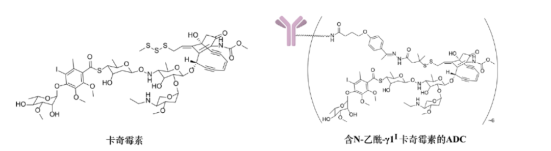ADC各大毒素如何选择？IC50、作用机制、临床管线（附全景布局图）医药新闻-ByDrug-一站式医药资源共享中心-医药魔方