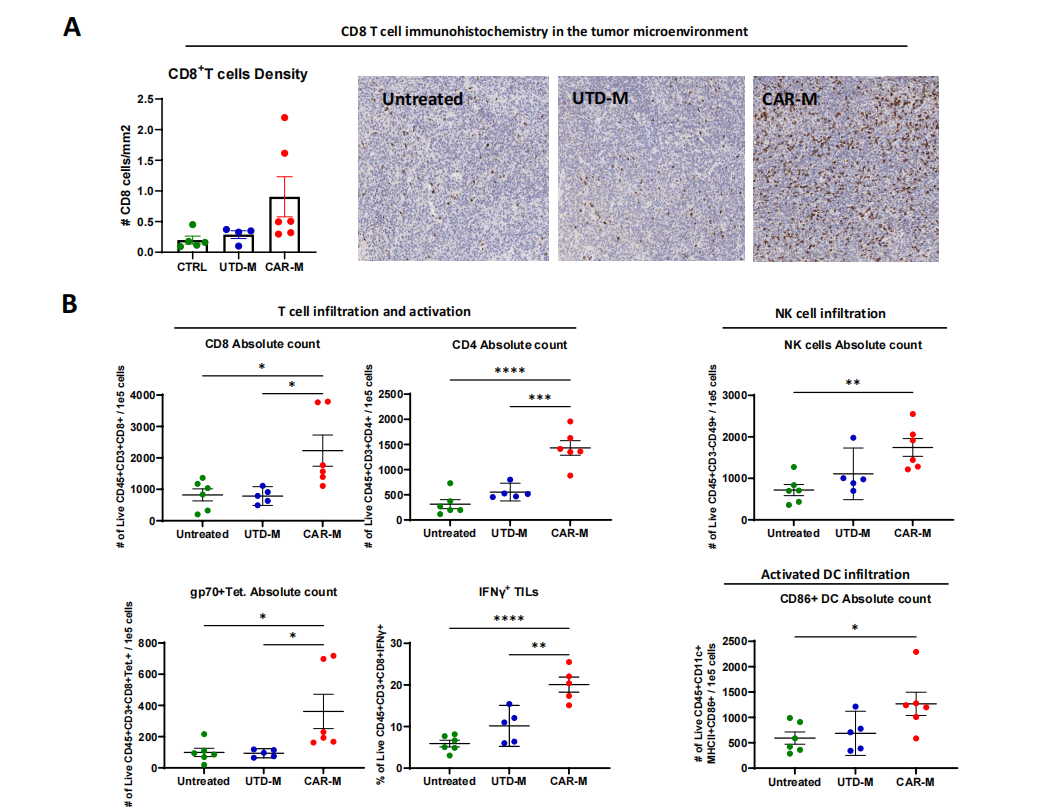 CAR-M/PD-1联合用药有望治愈实体瘤医药新闻-ByDrug-一站式医药资源共享中心-医药魔方