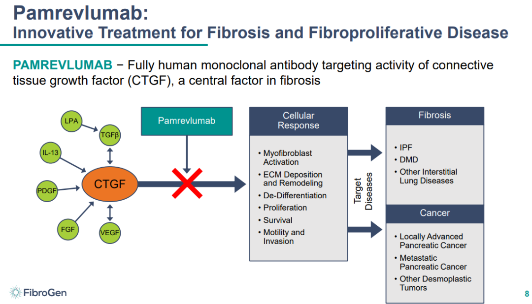 FibroGen大跌78%！特发性肺纤维化新药3期临床失败医药新闻-ByDrug-一站式医药资源共享中心-医药魔方