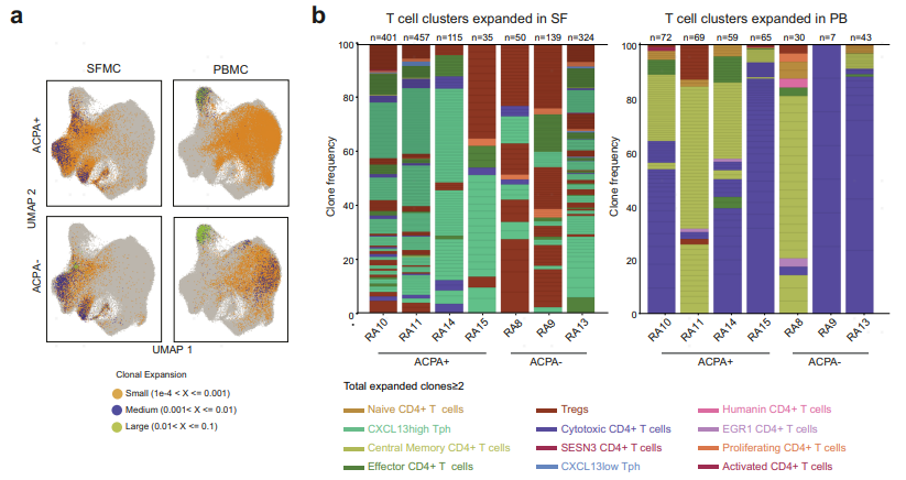 细胞小新说Volg5 | 单细胞免疫打开自身免疫病的大门医药新闻-ByDrug-一站式医药资源共享中心-医药魔方