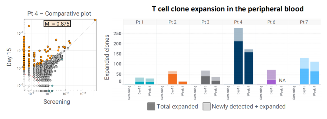 CAR- M一期临床结果显示积极安全性及部分缓解医药新闻-ByDrug-一站式医药资源共享中心-医药魔方