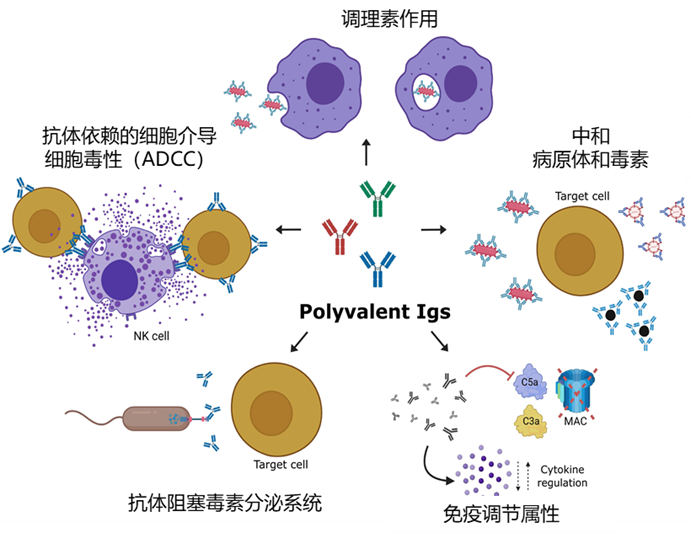 IVIG辅助治疗感染多重机制医药新闻-ByDrug-一站式医药资源共享中心-医药魔方