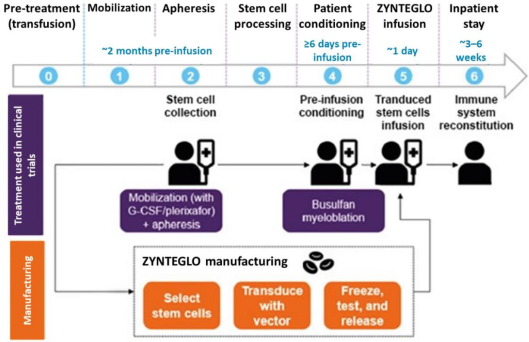 蓝鸟生物再飞新高度｜Zynteglo获批，280万美金成为美国首款上市LVV基因疗法医药新闻-ByDrug-一站式医药资源共享中心-医药魔方