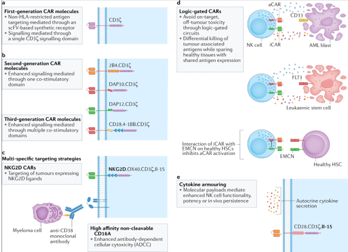 NK细胞在抗肿瘤过继性细胞免疫治疗中的应用医药新闻-ByDrug-一站式医药资源共享中心-医药魔方