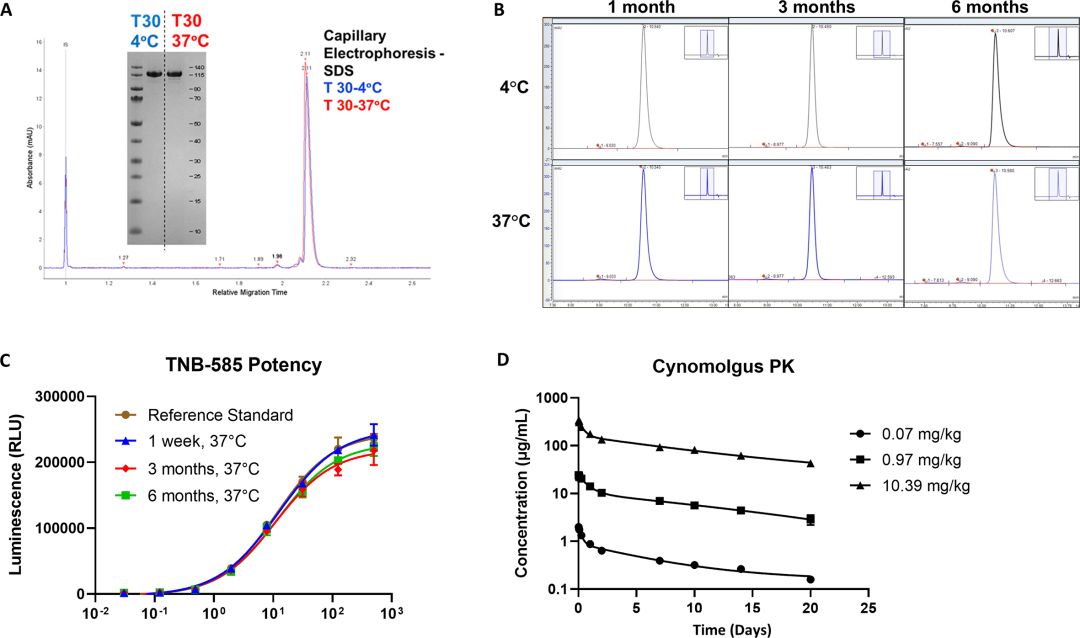 J Immunother Cancer| 安进子公司Teneobio发表PSMA/CD3双抗的作用机理医药新闻-ByDrug-一站式医药资源共享中心-医药魔方