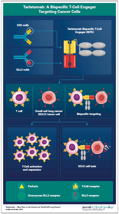 DLL3靶向药物：小细胞肺癌治疗后浪来了？医药新闻-ByDrug-一站式医药资源共享中心-医药魔方