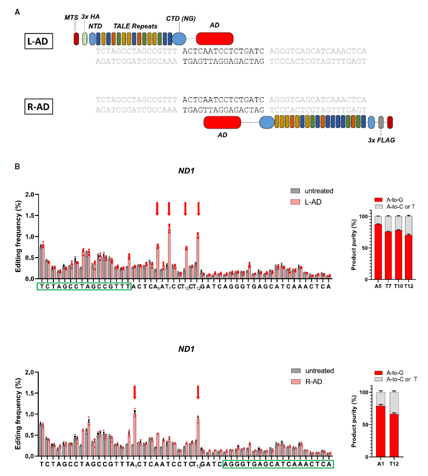 陈佳点评 | 碱基编辑最后一块拼图，新技术TALED来了医药新闻-ByDrug-一站式医药资源共享中心-医药魔方