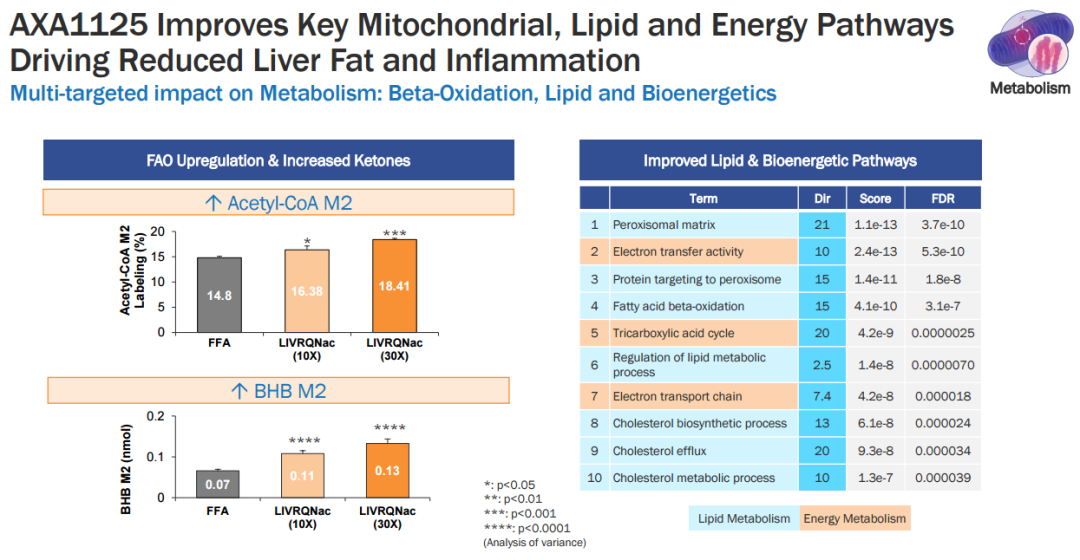 多靶点口服NASH创新疗法IIb期结果积极医药新闻-ByDrug-一站式医药资源共享中心-医药魔方