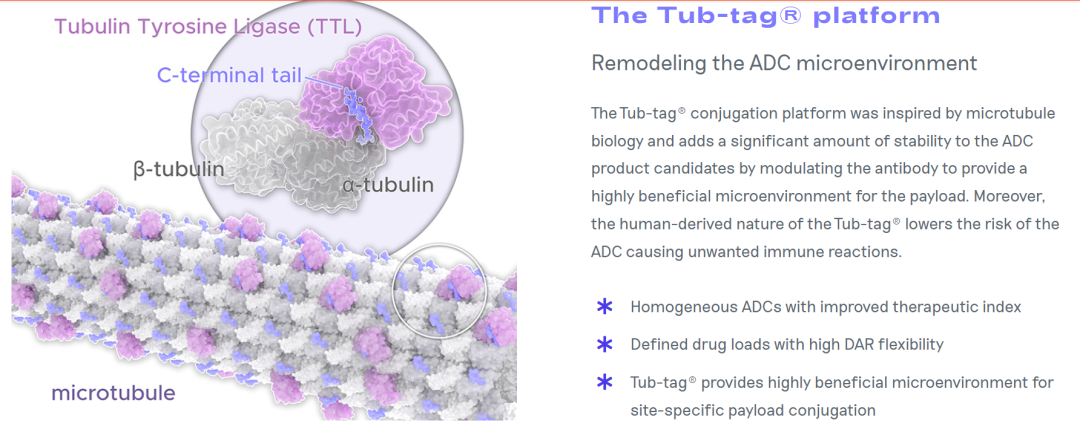 超10亿美元！BMS引进Tubulis ADC偶联技术平台医药新闻-ByDrug-一站式医药资源共享中心-医药魔方